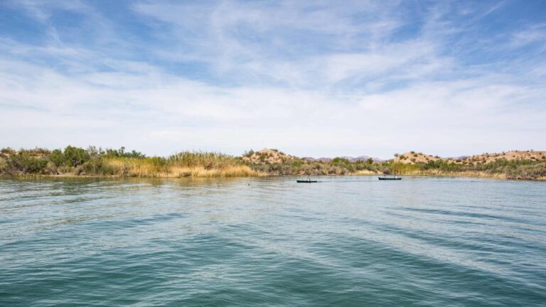 25 BEACHES IN ARIZONA FOR YOUR BUCKET LIST