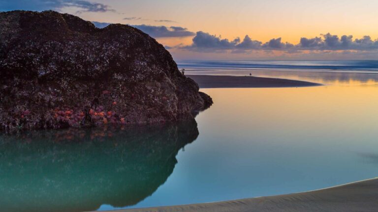 25 BEACHES IN ARIZONA FOR YOUR BUCKET LIST