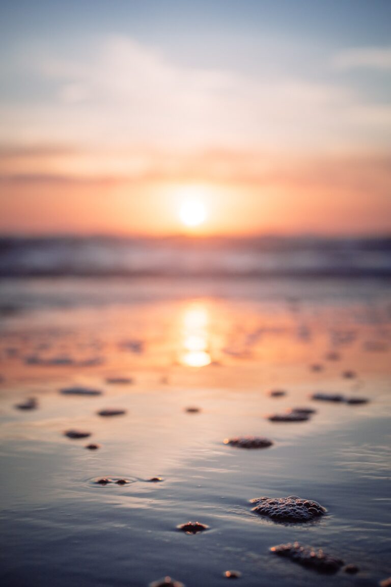 25 BEACHES IN ARIZONA FOR YOUR BUCKET LIST