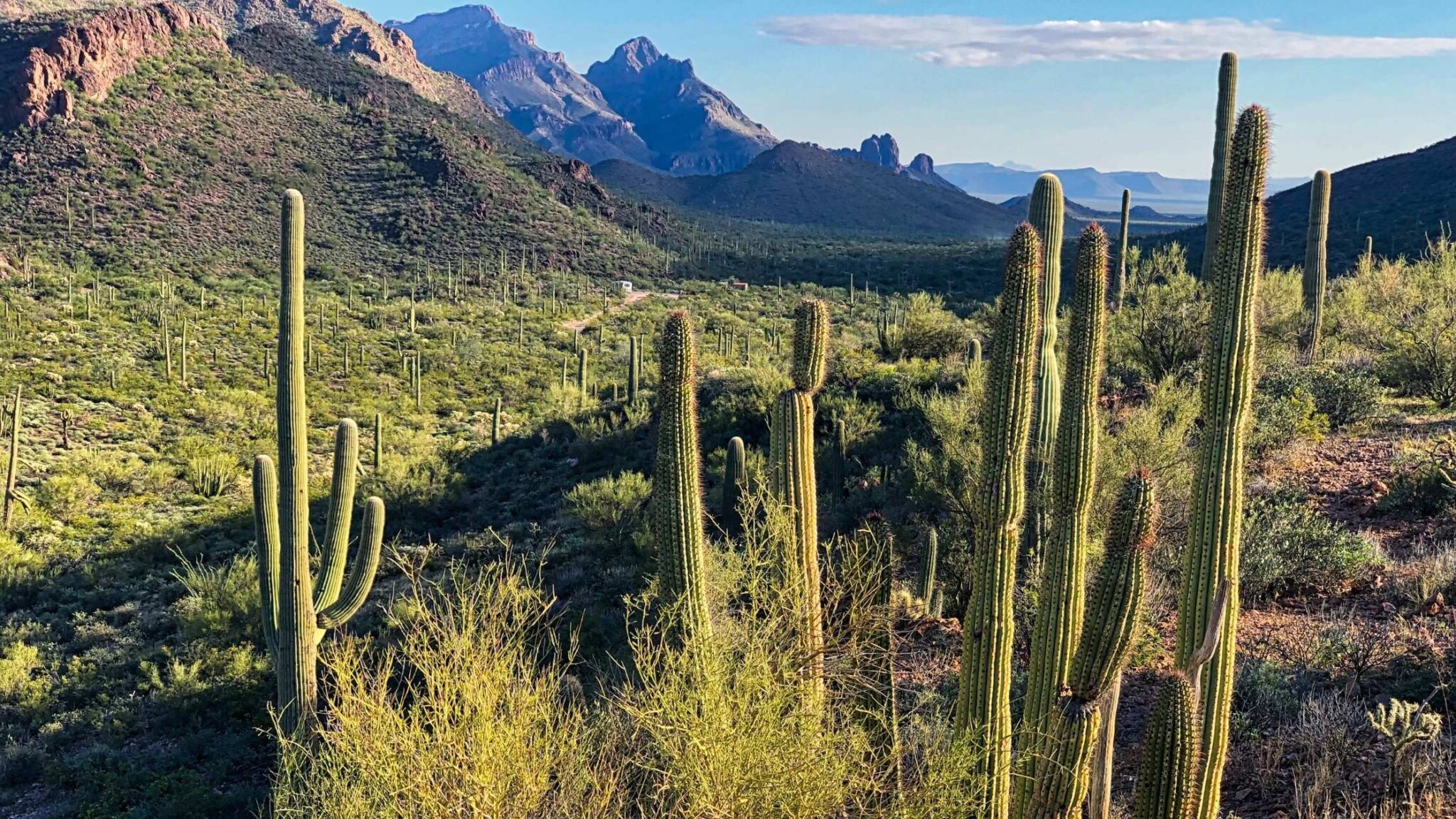 18 ARIZONA NATIONAL MONUMENTS YOU SHOULD VISIT AT LEAST ONCE