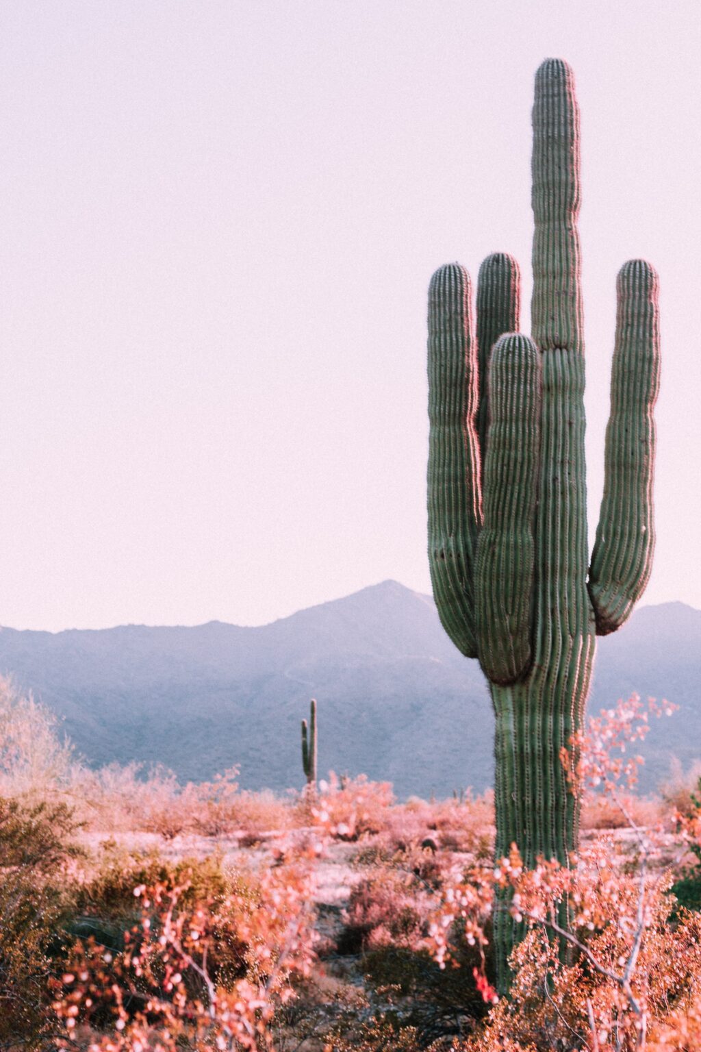 18 ARIZONA NATIONAL MONUMENTS YOU SHOULD VISIT AT LEAST ONCE