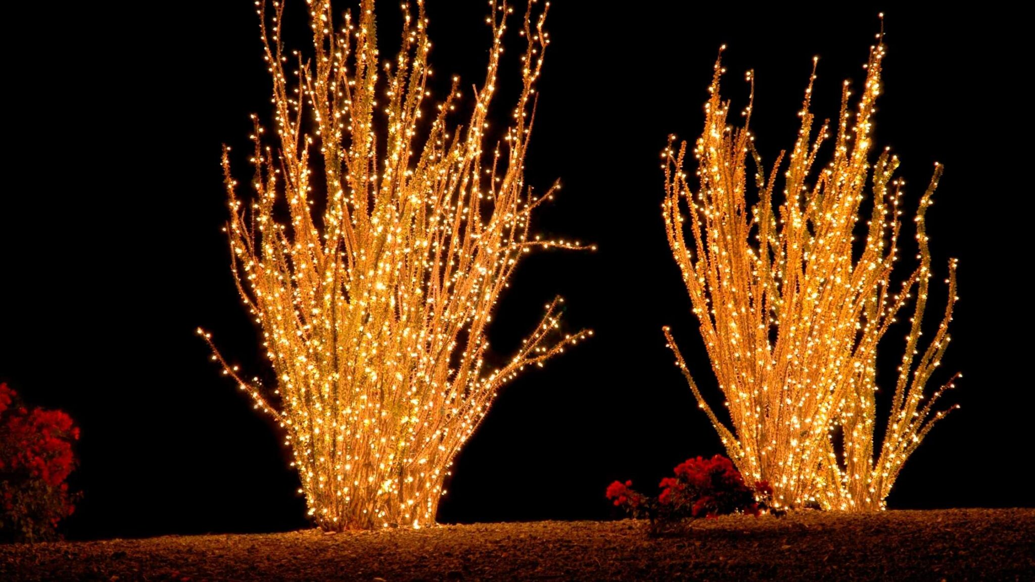 Arizona Christmas- 18 Best Places To Enjoy Winter Holiday