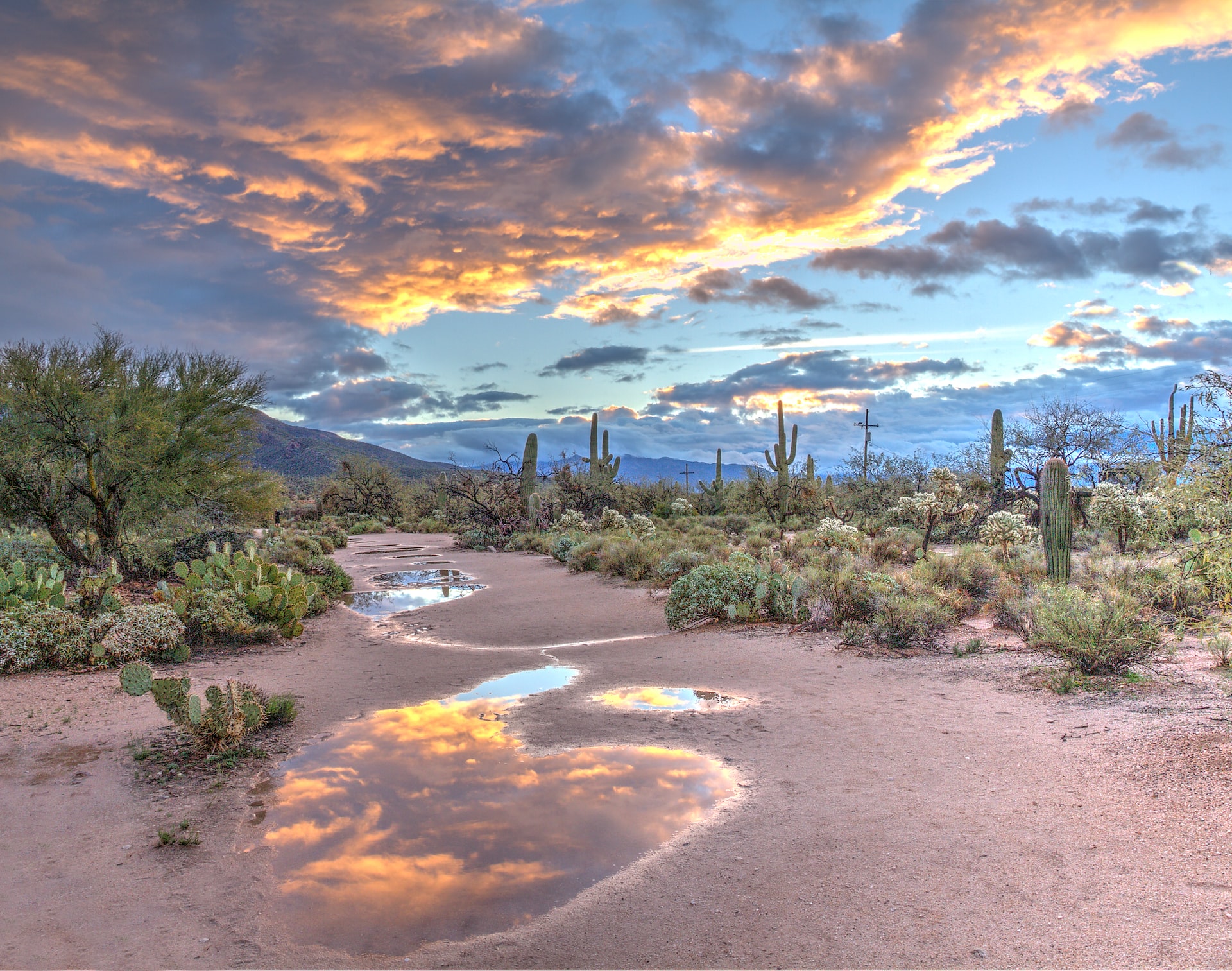 Arizona Christmas- 18 Best Places To Enjoy Winter Holiday
