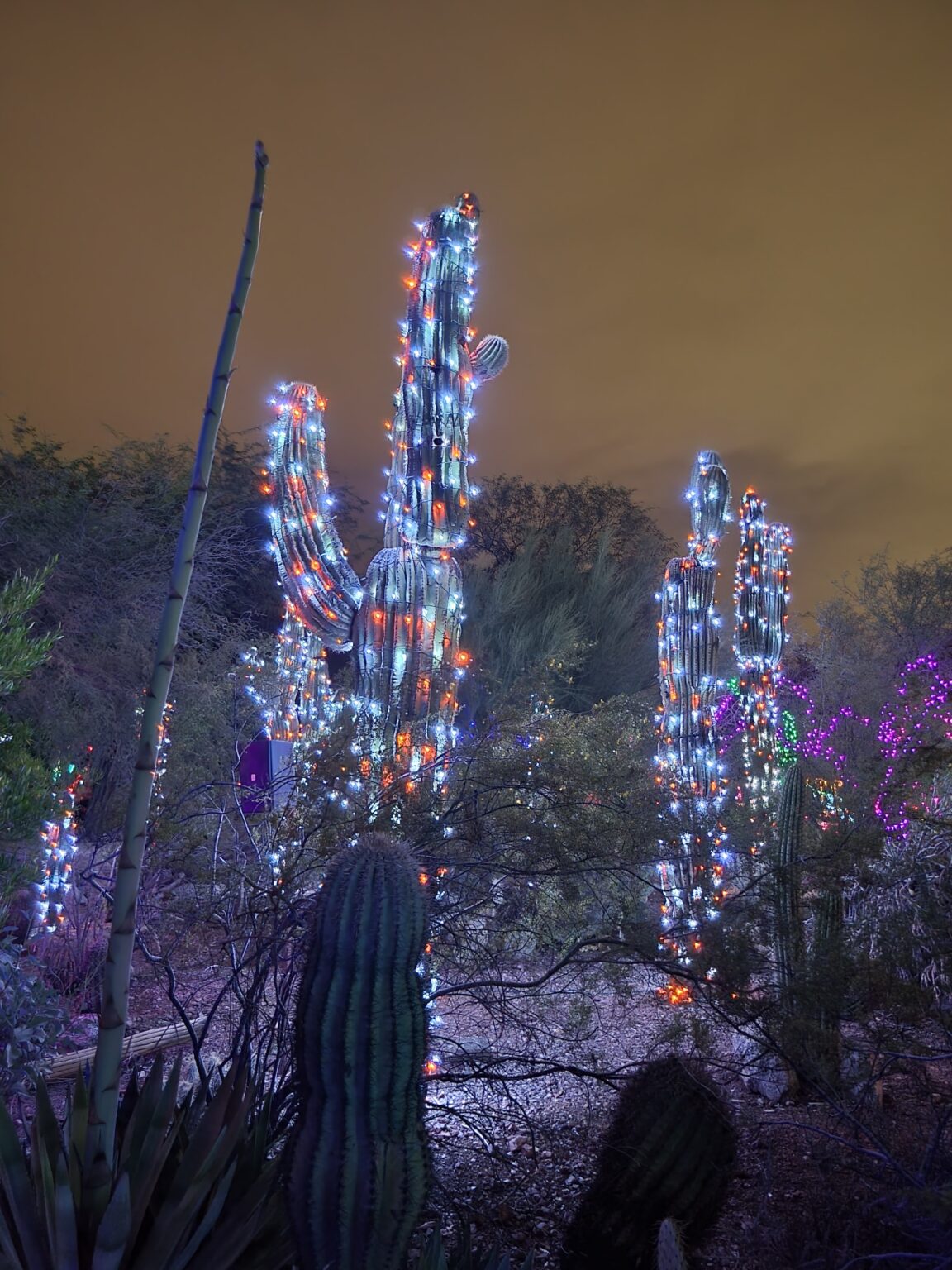 Arizona Christmas- 18 Best Places To Enjoy Winter Holiday