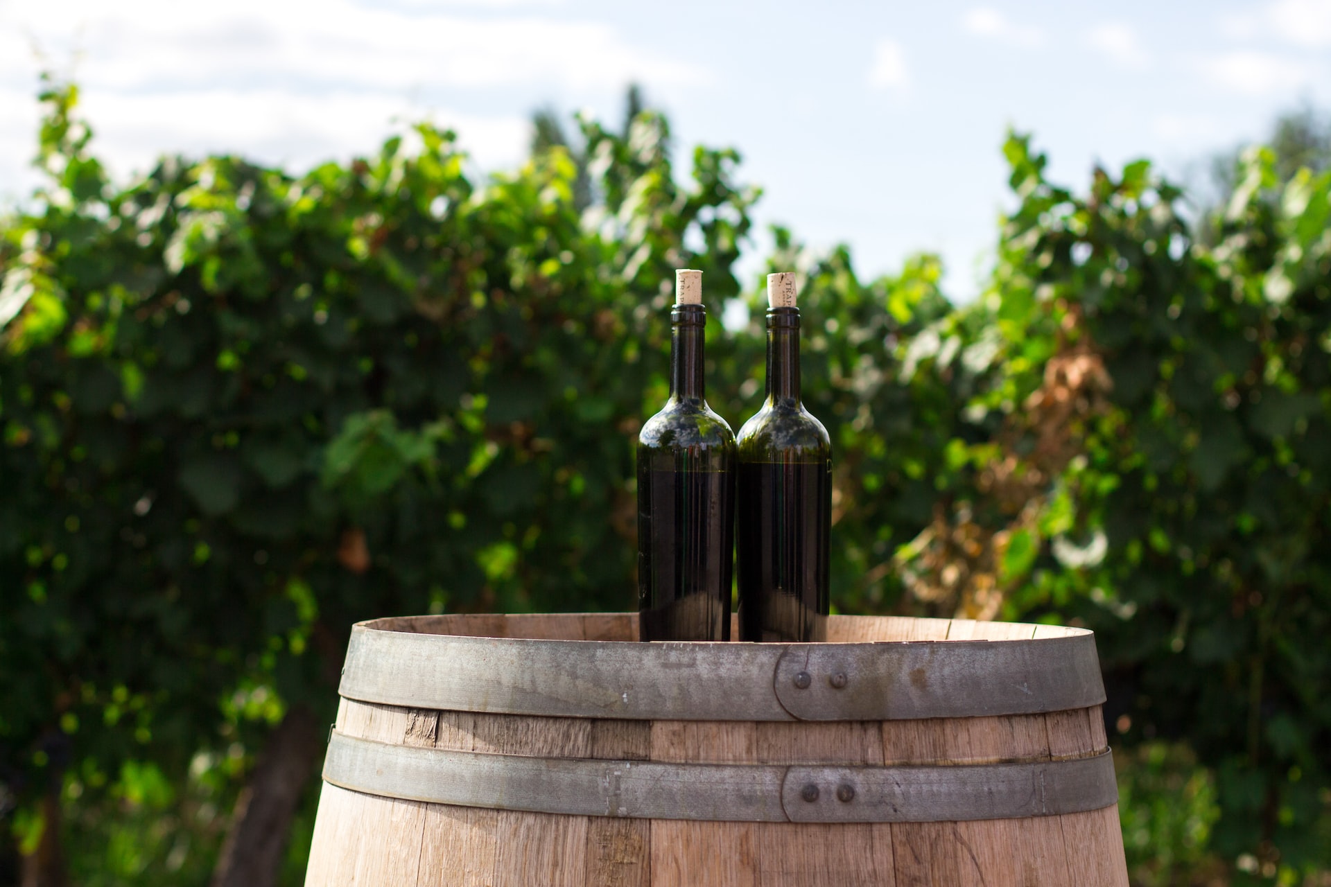 14 Best Sedona Wineries You need to add to your itinerary
