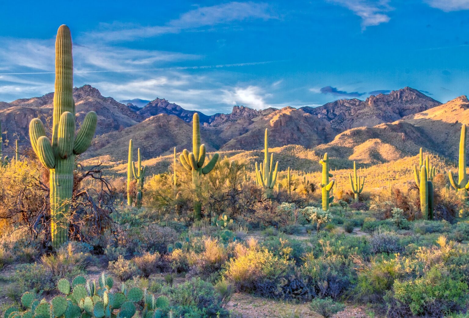 14 Tucson Sunset Spots To Admire The Stunning Views