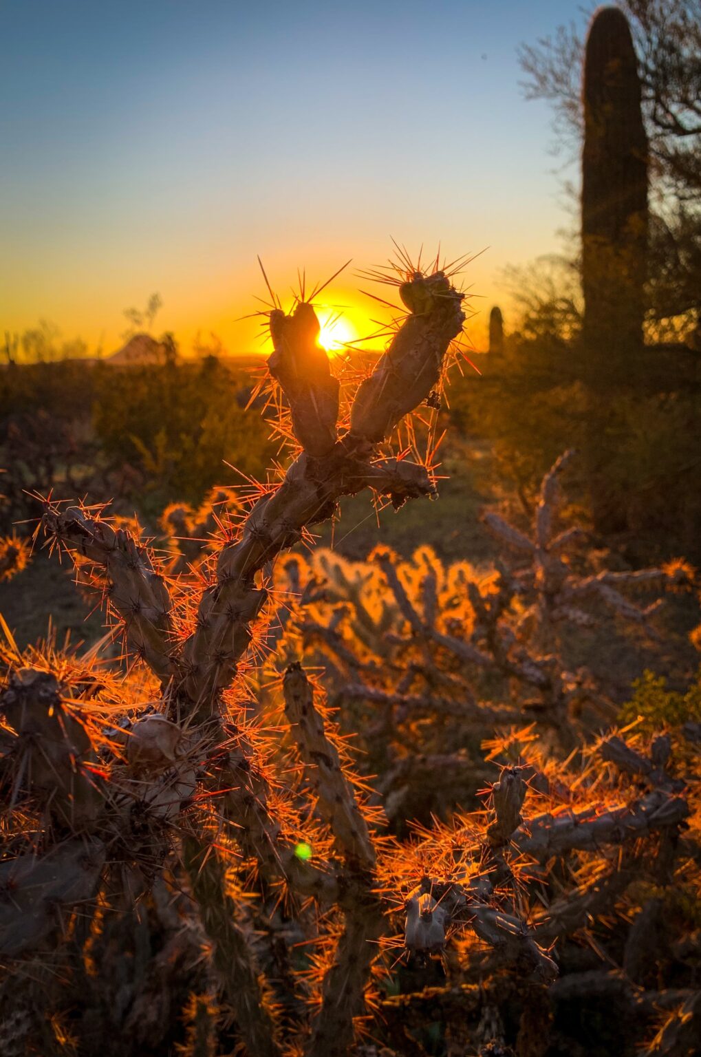 14 Tucson Sunset Spots To Admire The Stunning Views