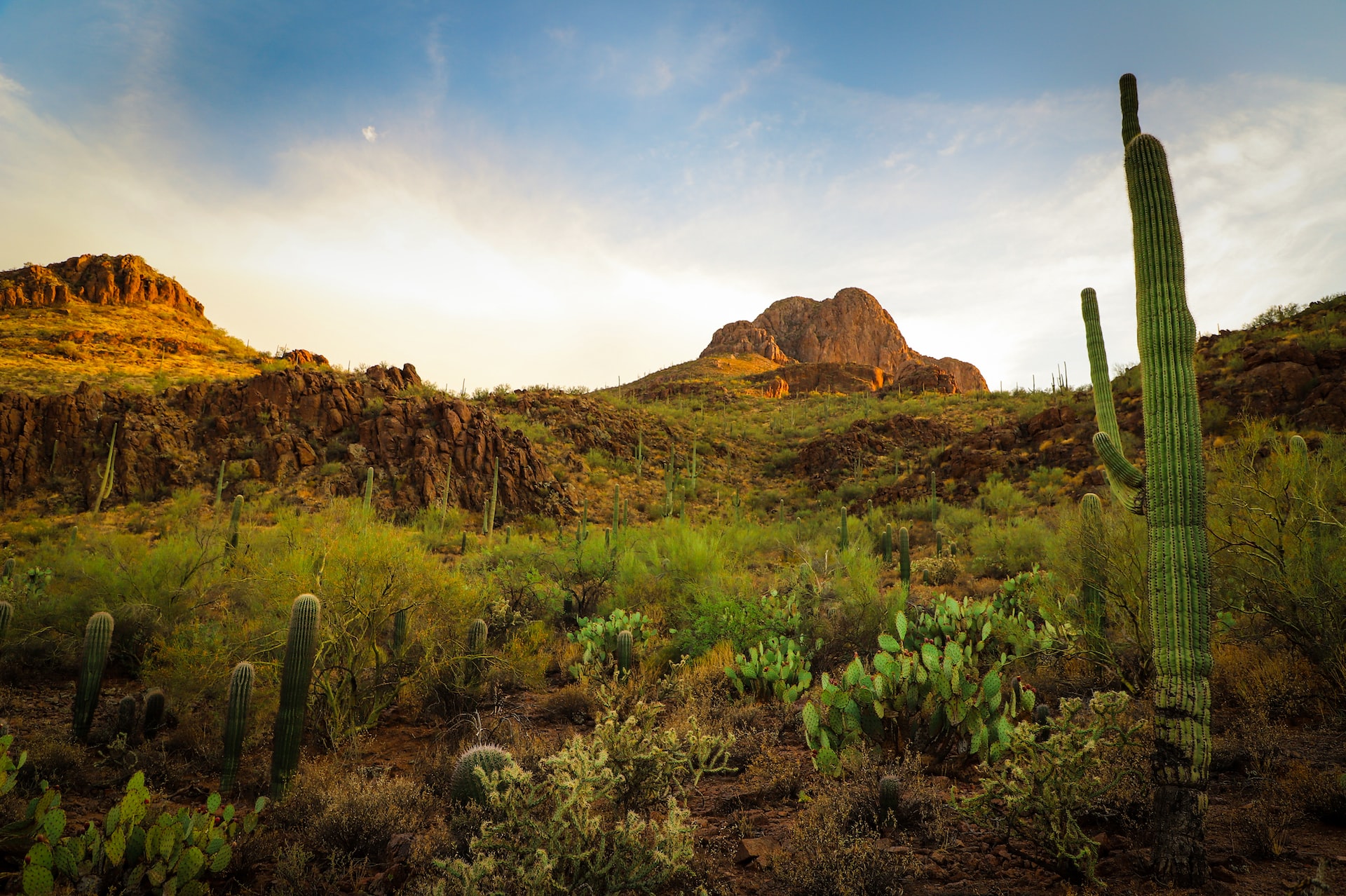 14 Tucson Sunset Spots To Admire The Stunning Views