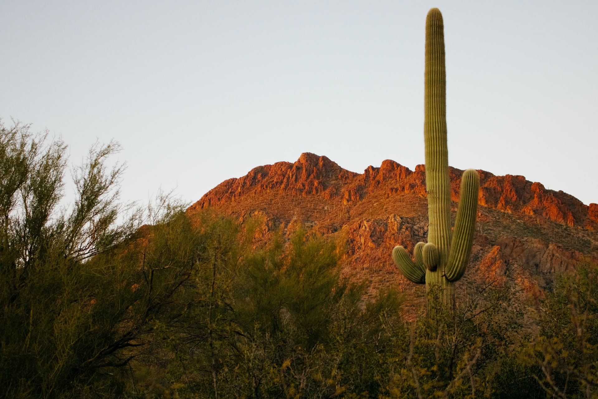 14 Tucson Sunset Spots To Admire The Stunning Views