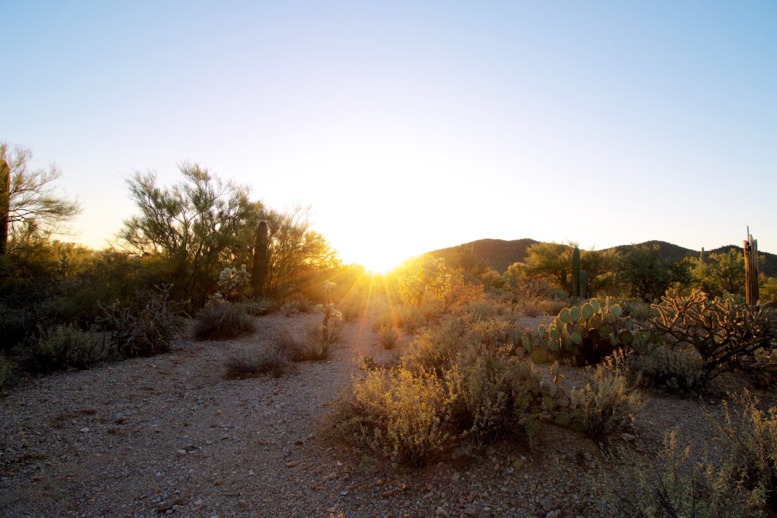 8 Tucson Sunrise Spots To Start Your Day Beautifully