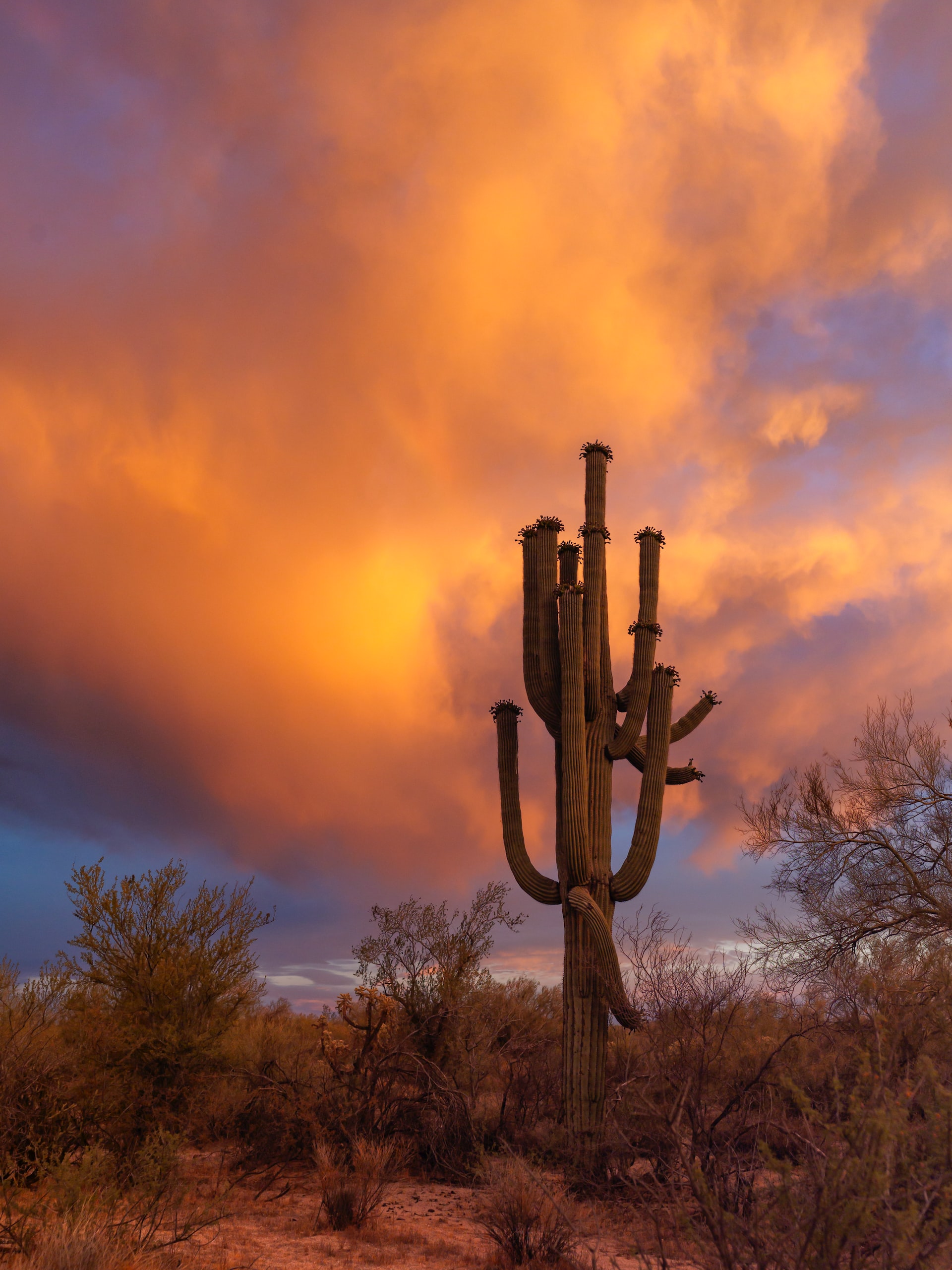 STARGAZING IN PHOENIX - 27 EPIC SPOTS FOR DARK SKIES - WANDER IN ARIZONA
