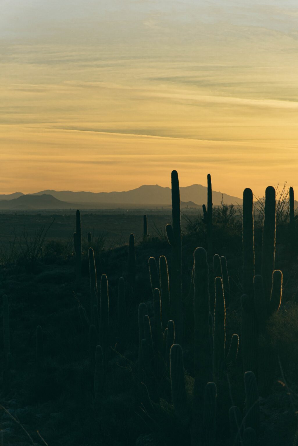 14 Tucson Sunset Spots To Admire The Stunning Views