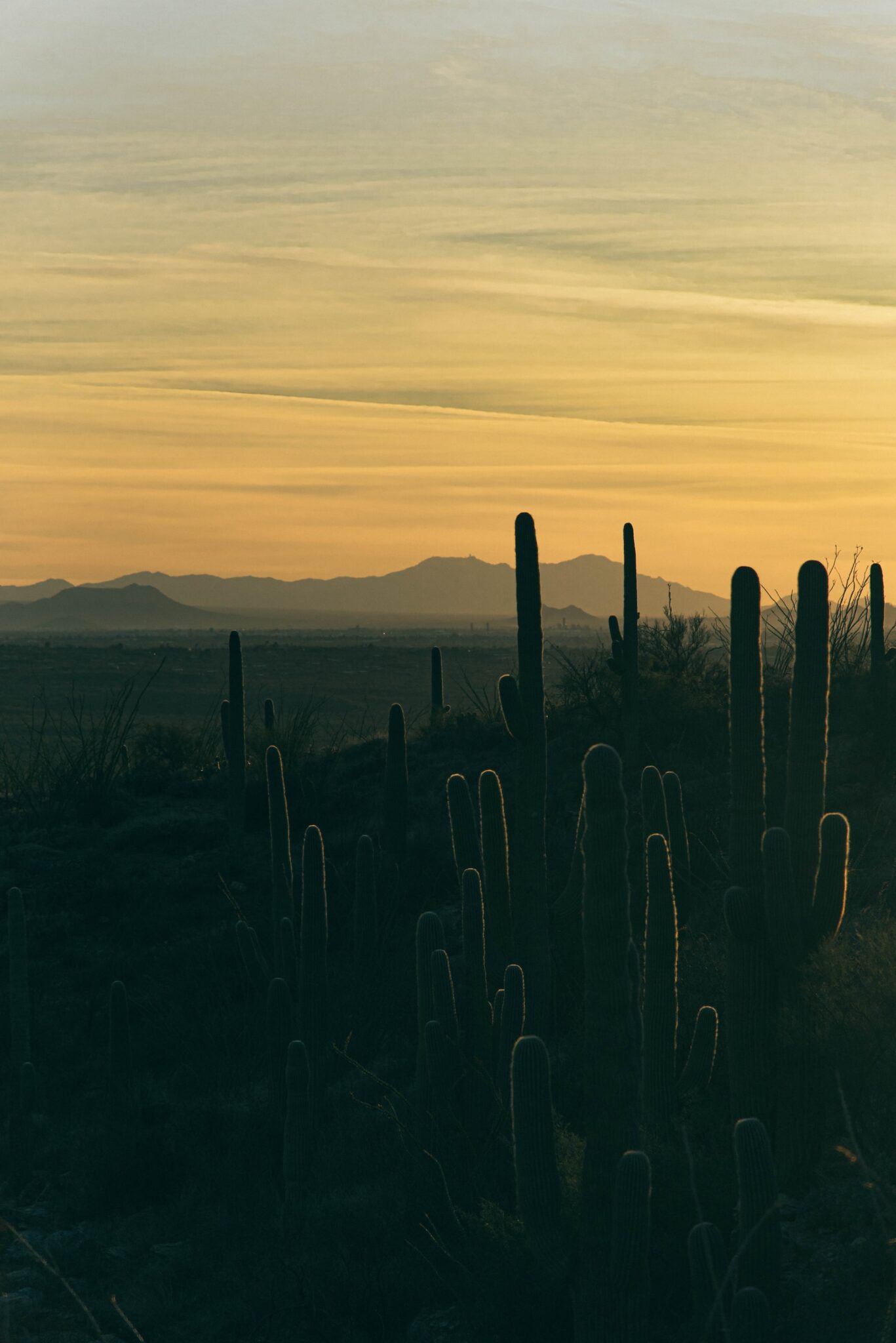 14 Tucson Sunset Spots To Admire The Stunning Views