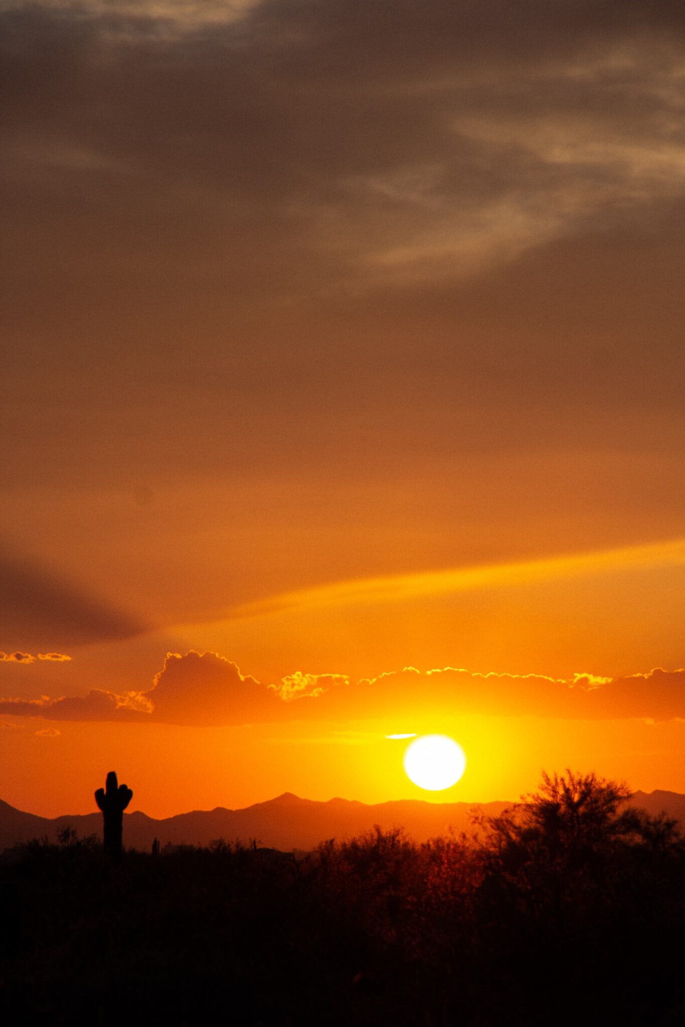 Sunset In Phoenix - 14 Best Spots To Watch The Stunning Views