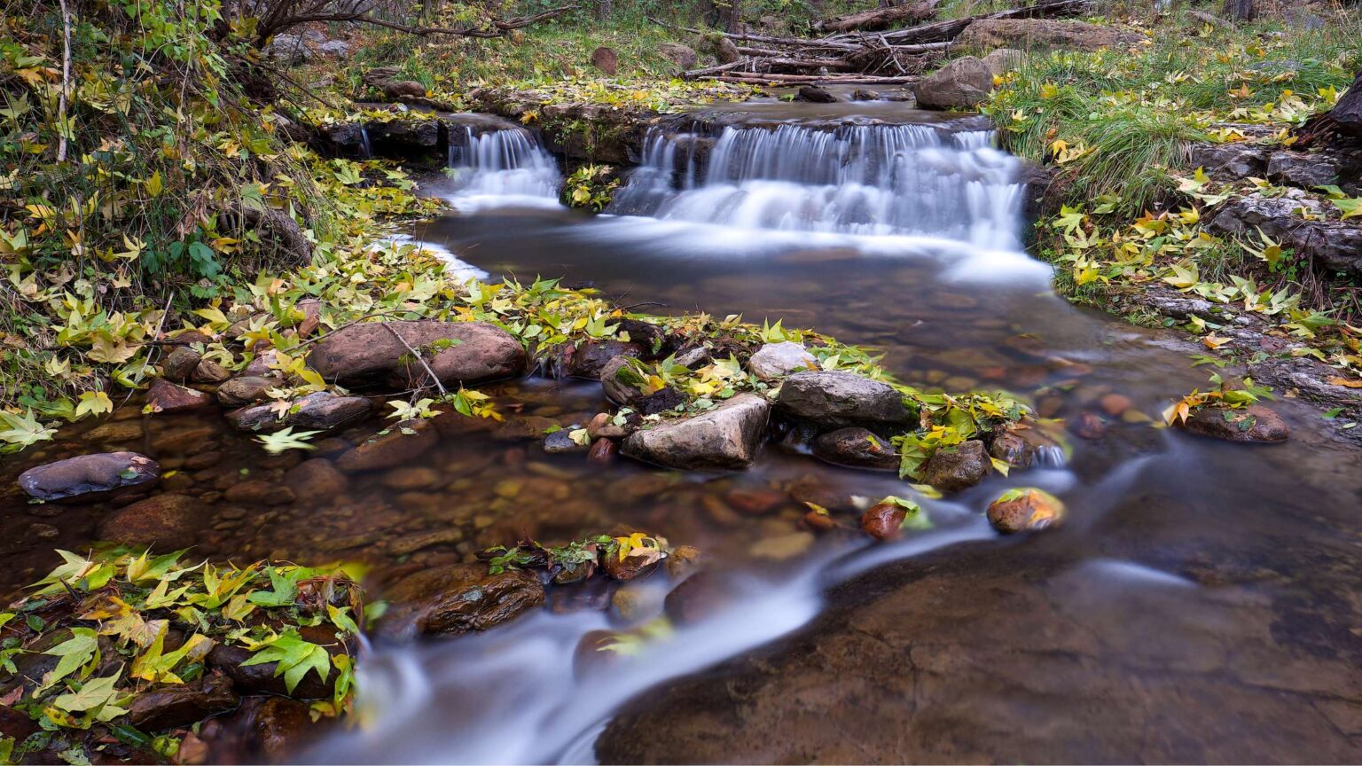 30 Best Waterfall Hikes In Arizona for Your Bucket List