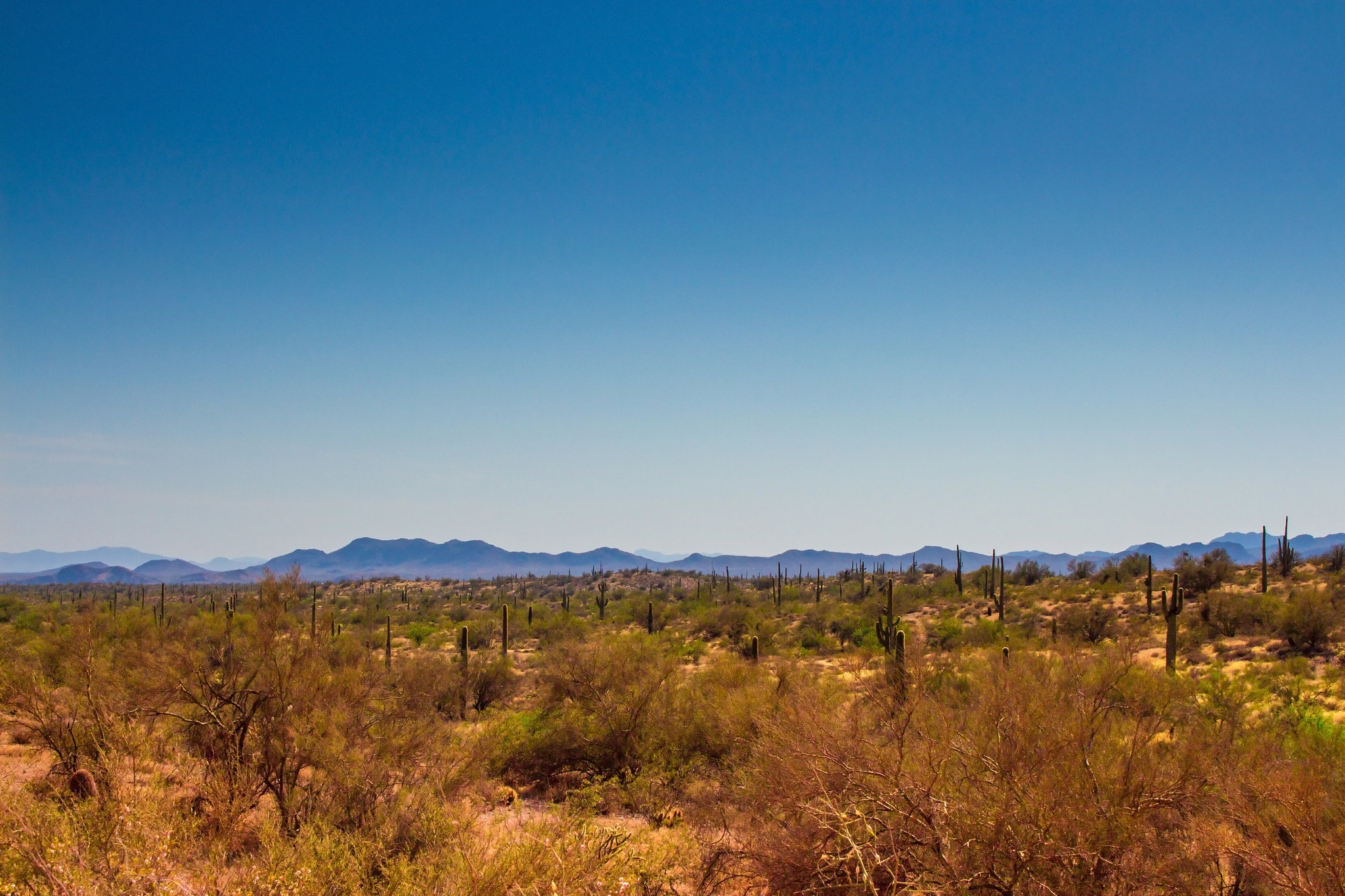 16 BEST HOT SPRINGS IN ARIZONA FOR RELAXING SOAKS ON YOUR TRIP
