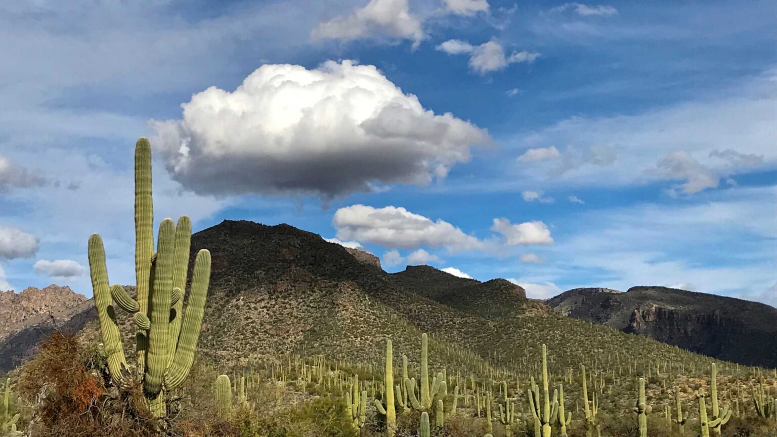 11 AWESOME LAKES NEAR TUCSON FOR THE SUMMER