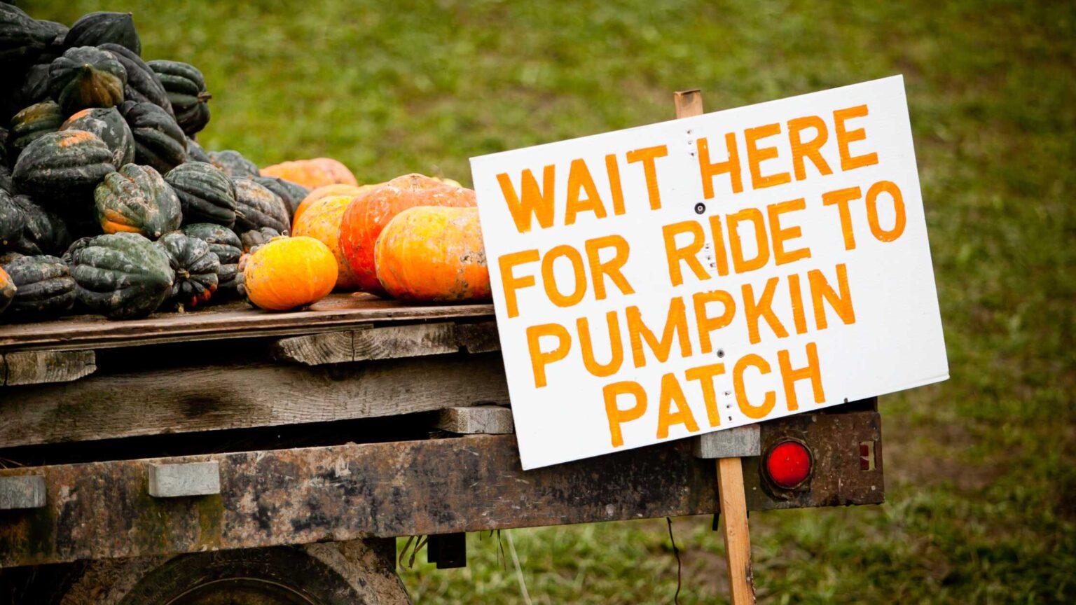 17 PUMPKIN PATCHES IN ARIZONA TO VISIT
