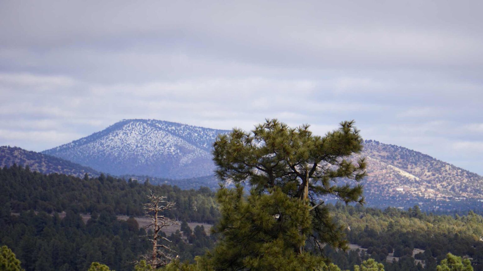 25 BEST SMALL TOWNS IN ARIZONA YOU SHOULD VISIT