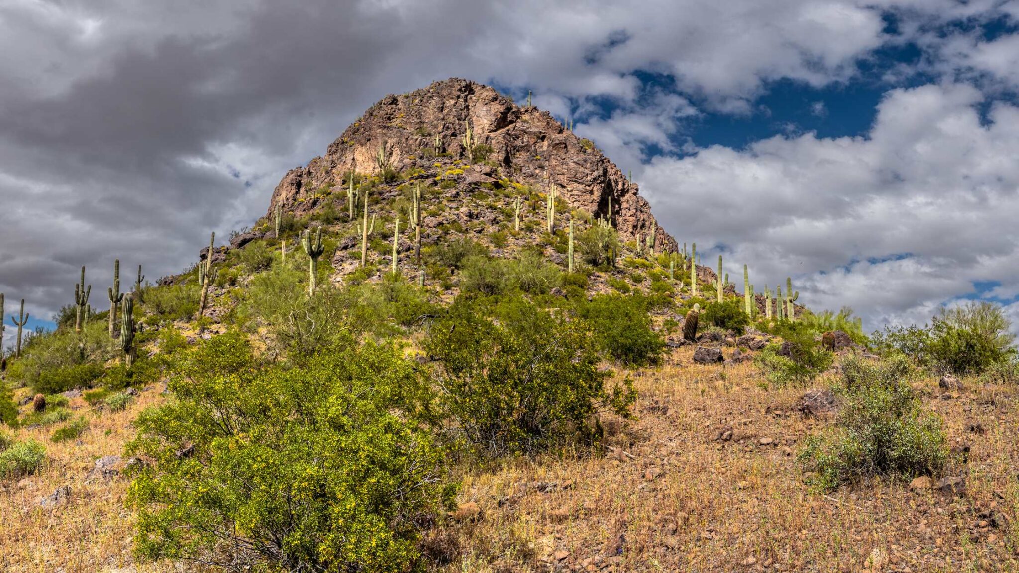 FROM CACTI TO CANYONS: THE PHOENIX TO BISBEE ROAD TRIP YOU NEED