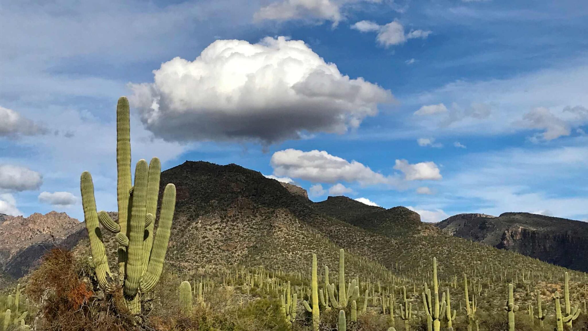 12 OLD WEST TOWNS IN ARIZONA YOU SHOULD CHECK OUT