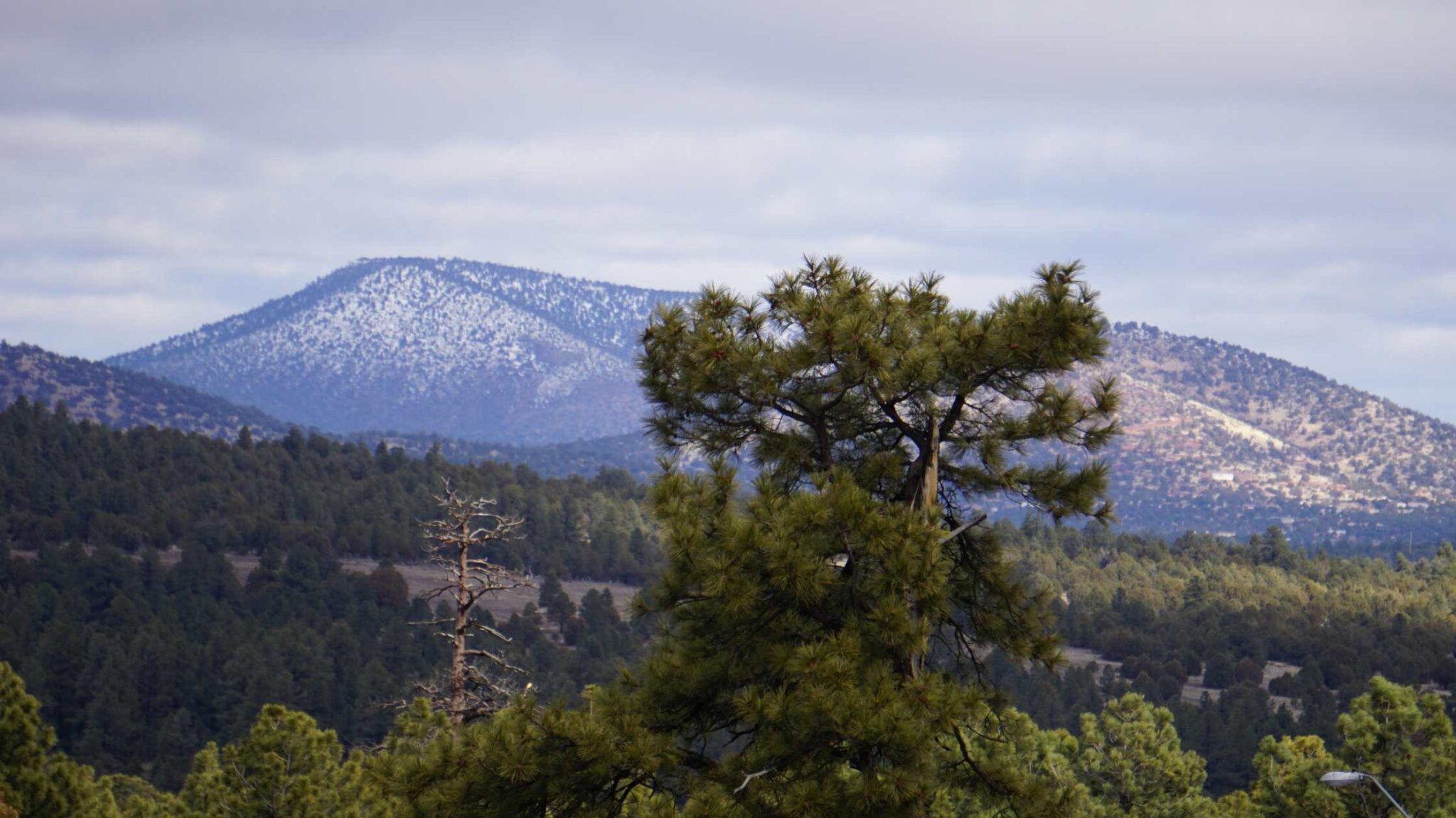 38 BEST THINGS TO DO IN WILLIAMS AZ FOR OUTDOOR FUN