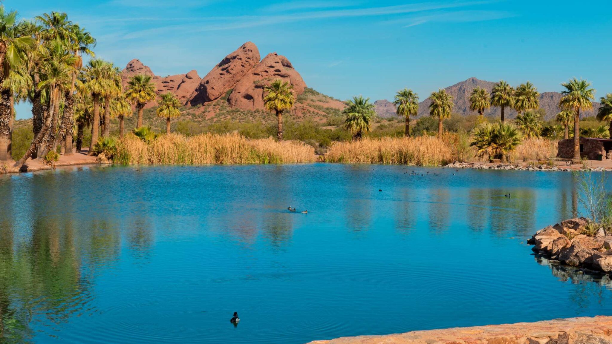 28 BEST THINGS TO DO IN TEMPE AZ, THE BUSTLING CITY