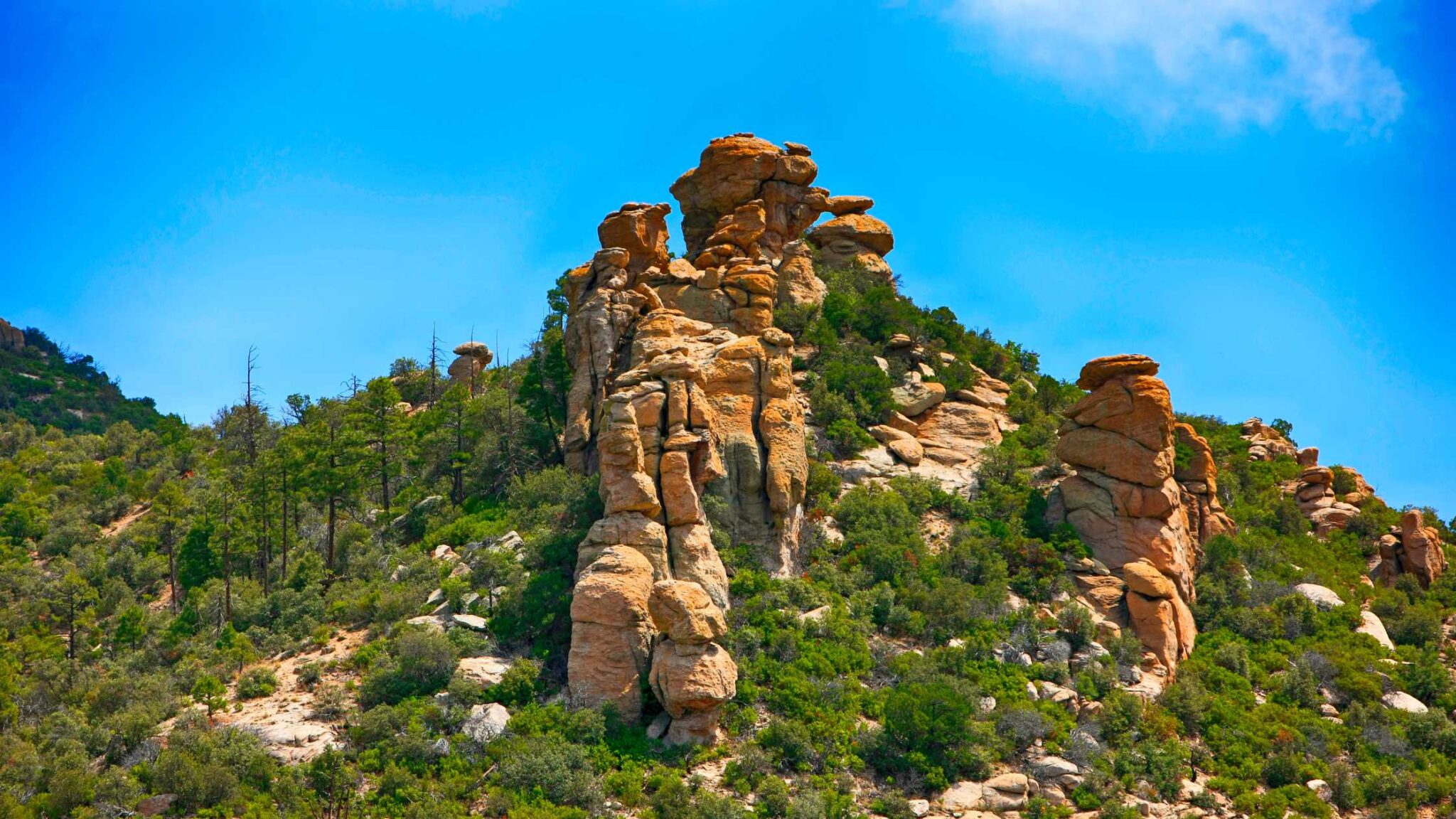 35 FUN THINGS TO DO IN ARIZONA IN DECEMBER THIS YEAR