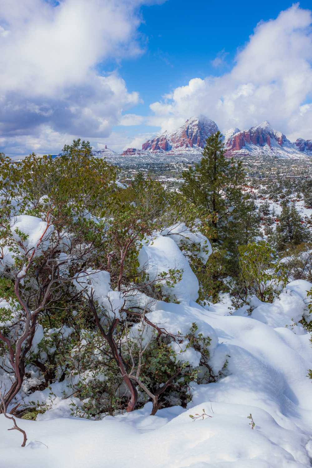 ARIZONA IN THE WINTER - 25 FUN THINGS TO DO THIS YEAR!