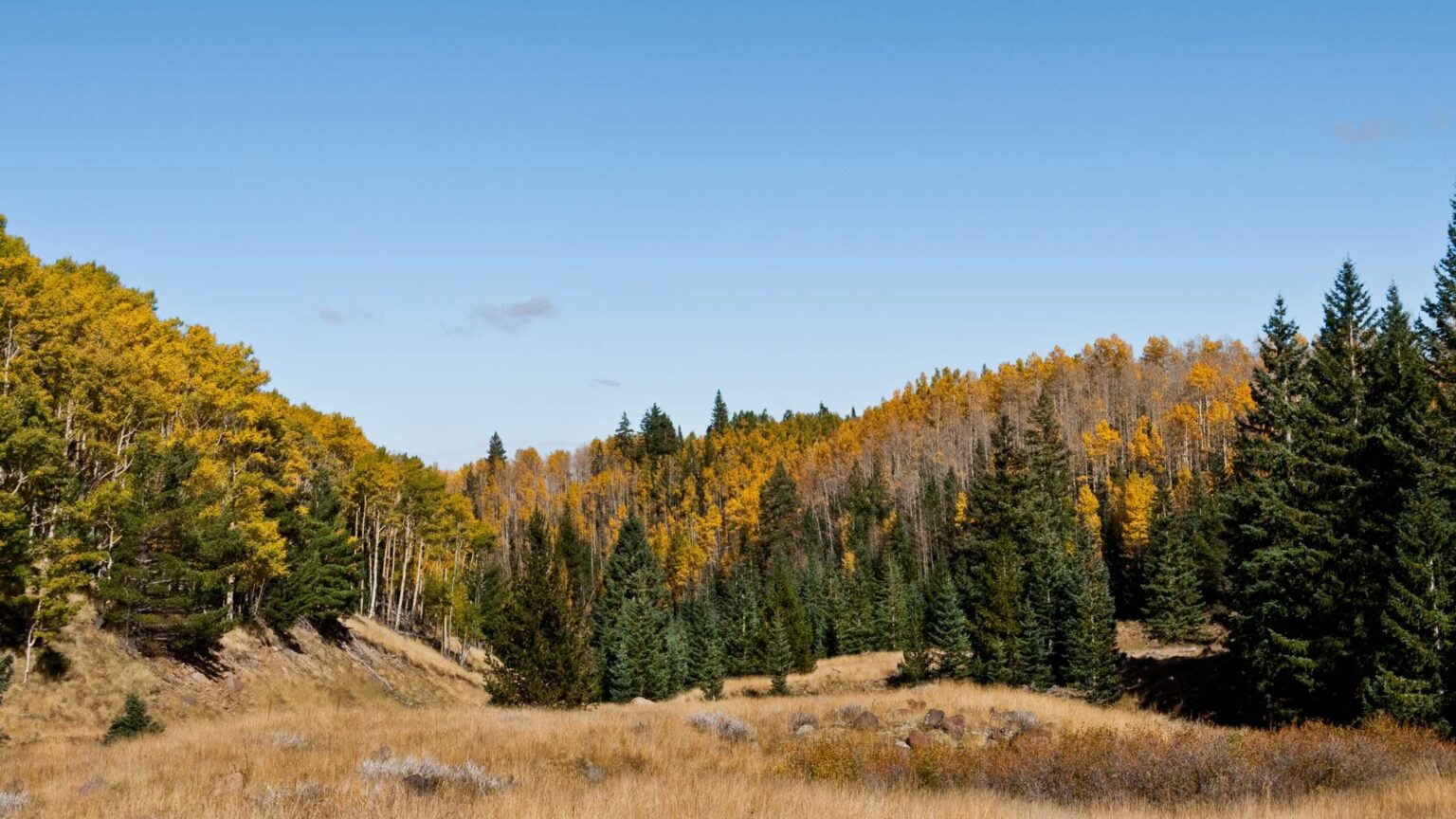 FALL COLORS IN ARIZONA - 25 BEST SPOTS TO GO!