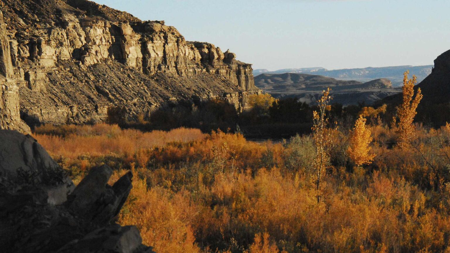 FALL COLORS IN ARIZONA - 25 BEST SPOTS TO GO!