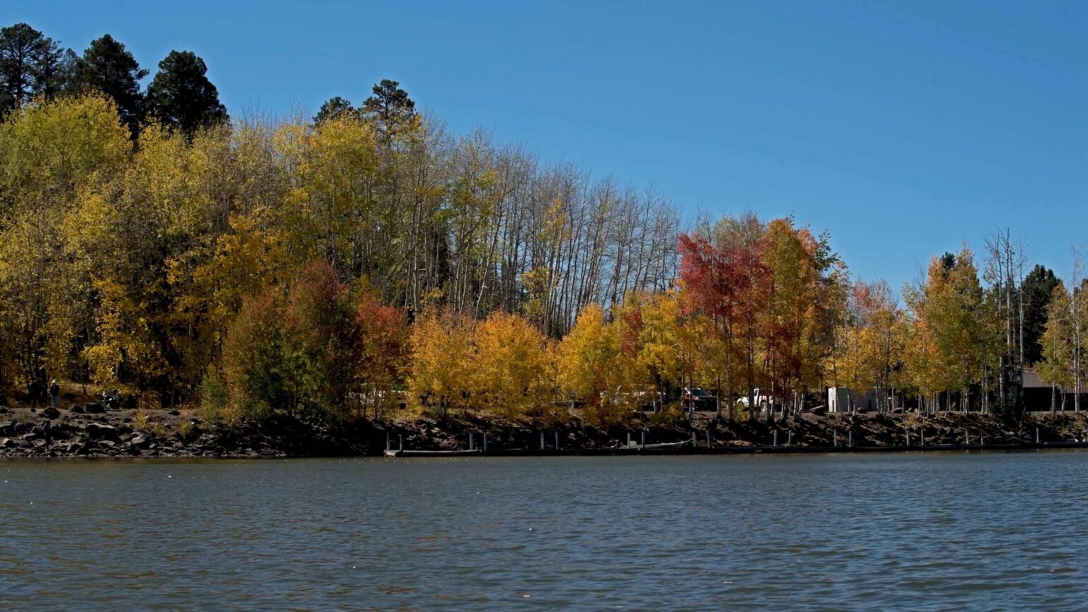 FALL COLORS IN ARIZONA - 25 BEST SPOTS TO GO!