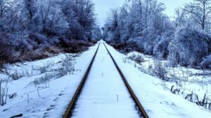 13 TOP FLAGSTAFF CHRISTMAS ATTRACTIONS TO ENJOY!