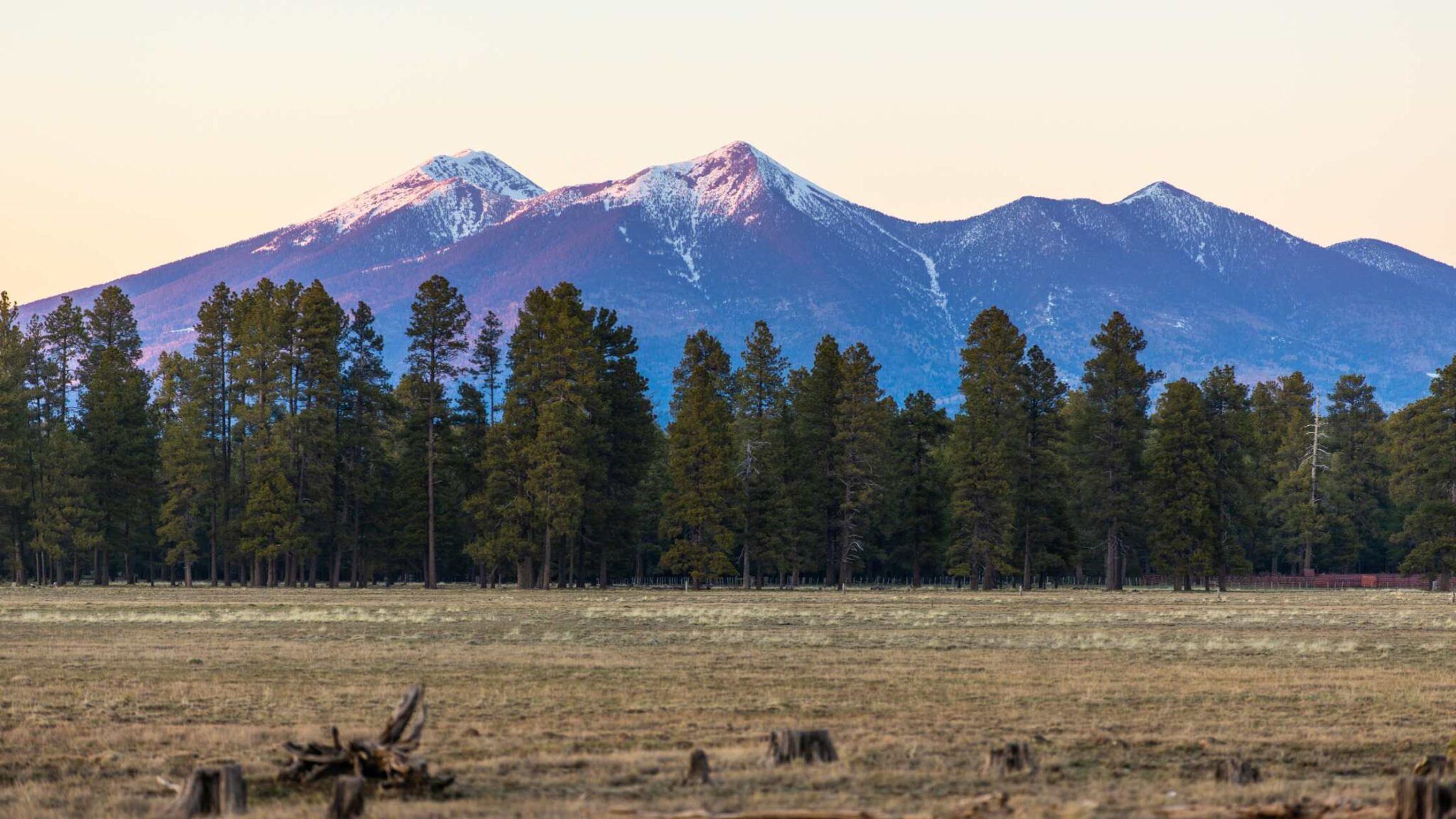 13 TOP FLAGSTAFF CHRISTMAS ATTRACTIONS TO ENJOY!