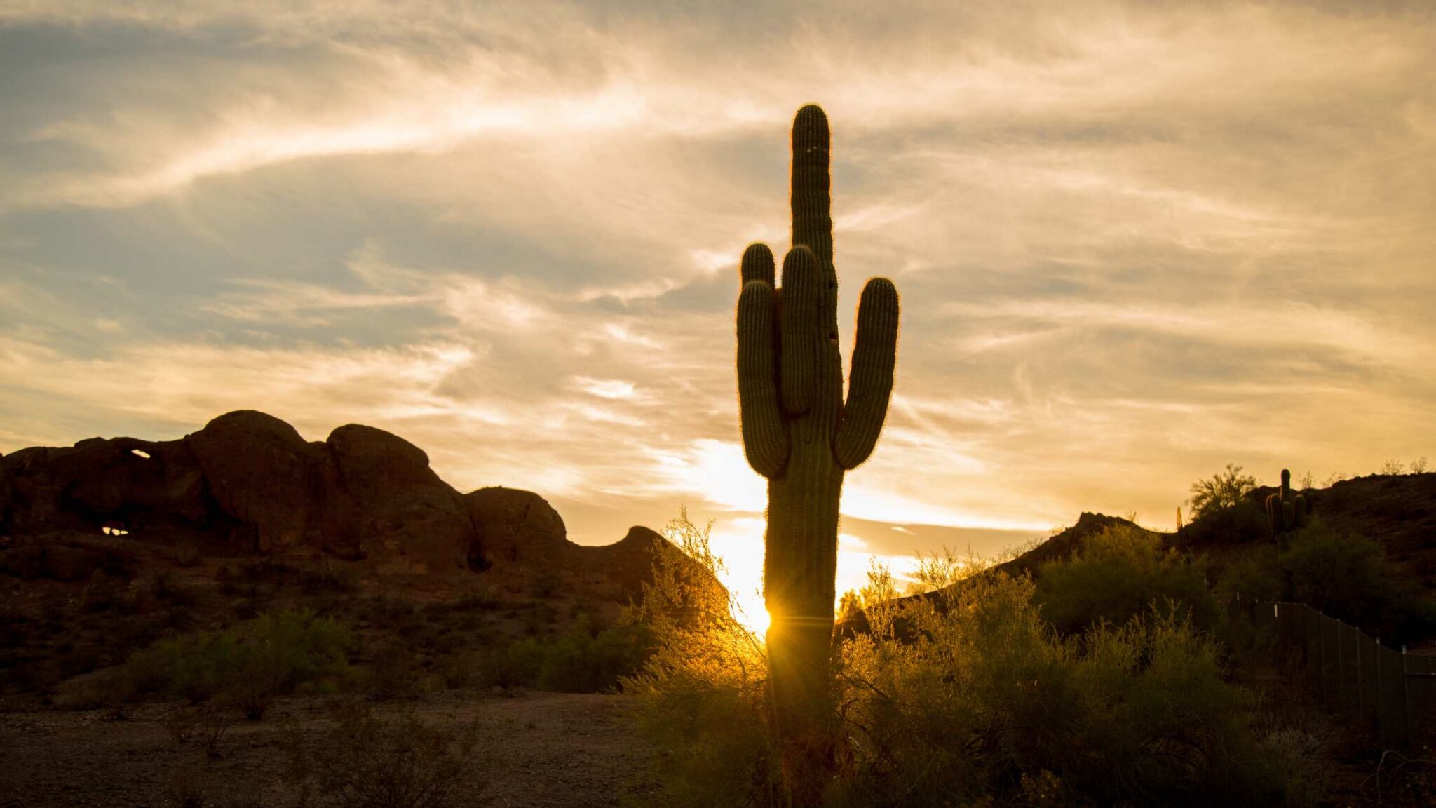 PHOENIX IN WINTER - 21 BEST THINGS TO DO THIS YEAR