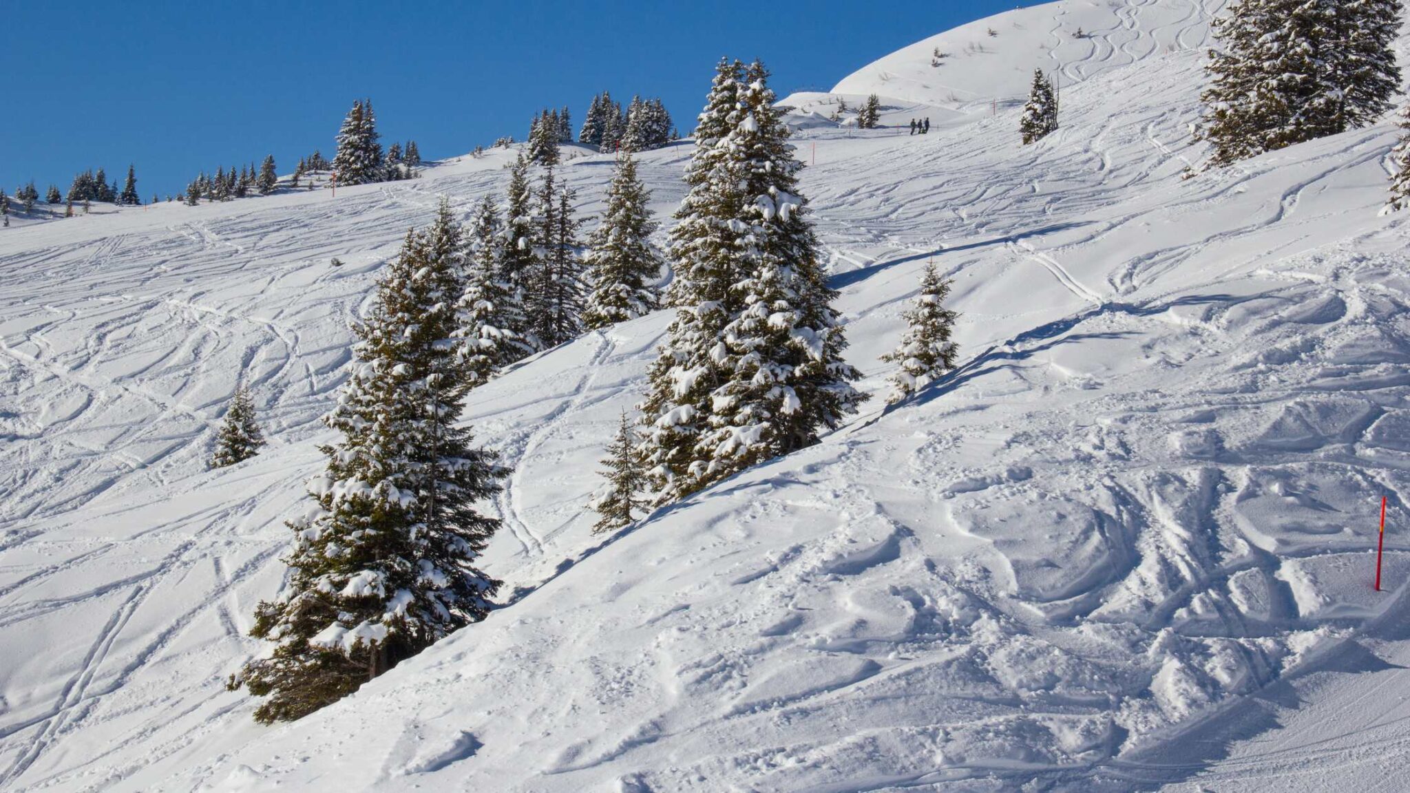 SKIING IN ARIZONA - 5 SKI RESORTS FOR WINTER HOLIDAY