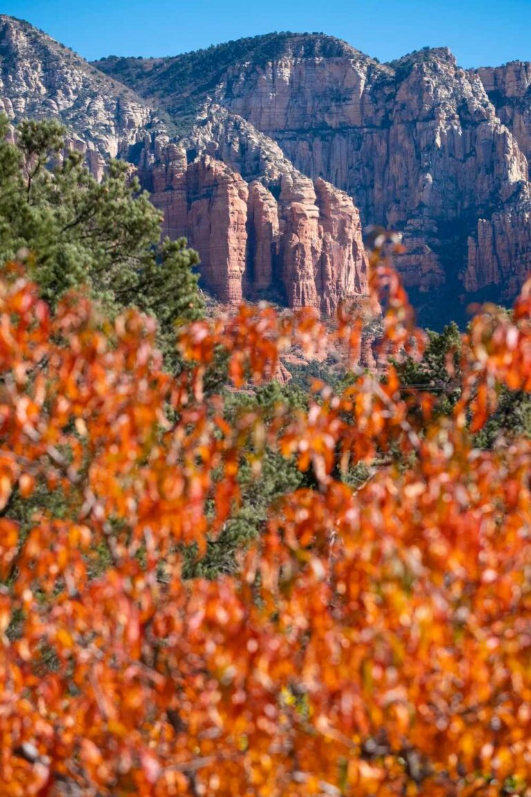 SEDONA IN NOVEMBER - 18 FUN THINGS TO DO AND SEE!