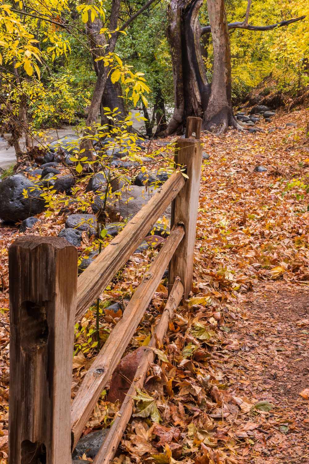 SEDONA IN NOVEMBER - 18 FUN THINGS TO DO AND SEE!