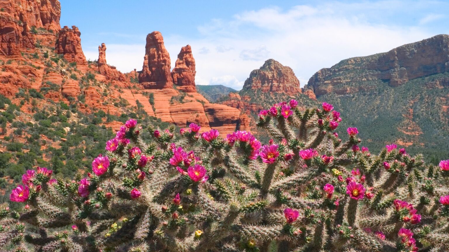 16 BEST HOT SPRINGS IN ARIZONA FOR RELAXING SOAKS ON YOUR TRIP