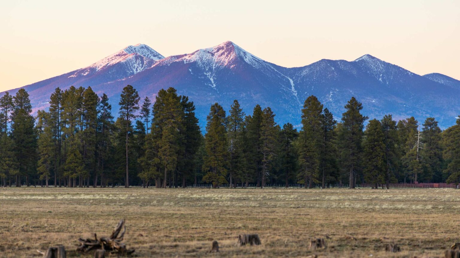 STARGAZING IN FLAGSTAFF - 13 EPIC SPOTS TO GO - WANDER IN ARIZONA