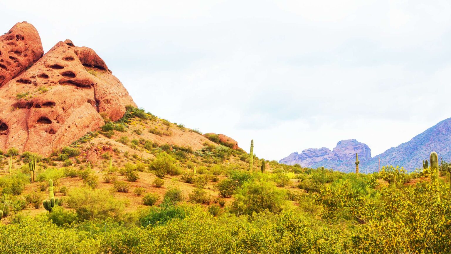 17 ARIZONA SPRING BREAK DESTINATIONS FOR FAMILIES - WANDER IN ARIZONA